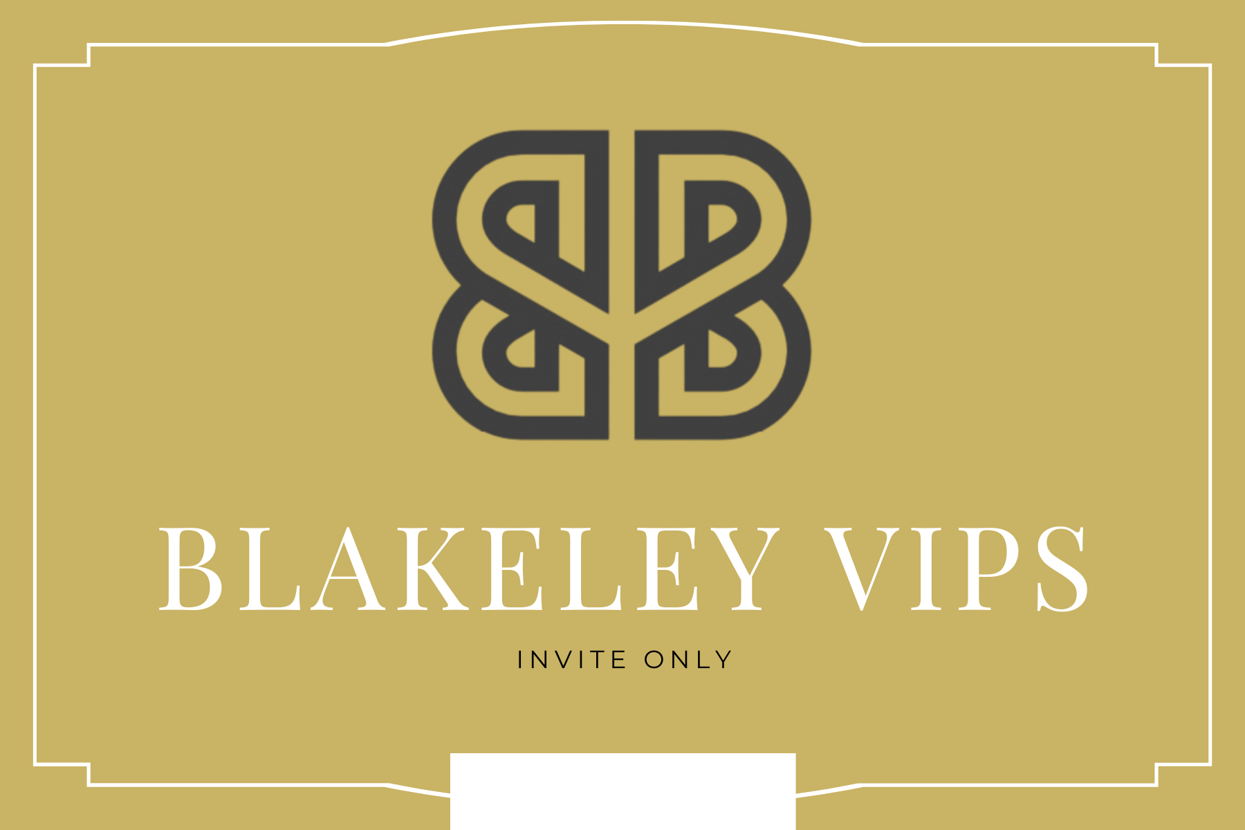 THE BLAKELEY VAULT